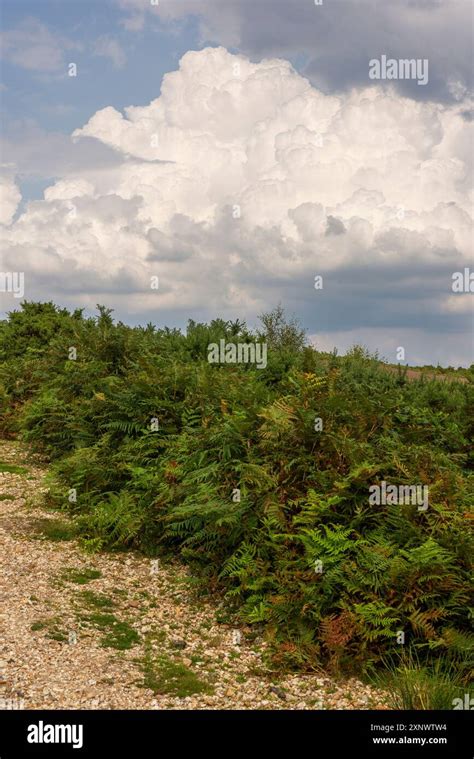Cumulonimbus Clouds And Potential Thunderstorm In Summer Uk Stock