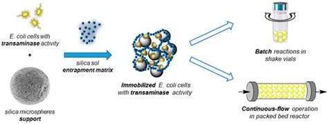 Catalysts Special Issue Flow Biocatalysis
