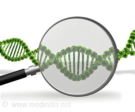 New Genetic Variant Provides Protection Against Alzheimers Disease