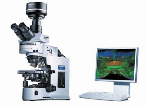 Extensive Digital Imaging Features Enable Better Microscopy Labmate Online