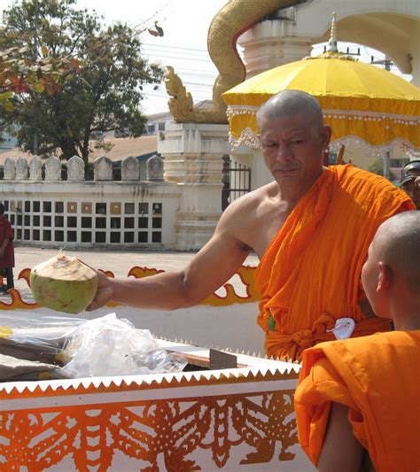 Cocos Nucifera Pha Tad Ke Botanical Garden
