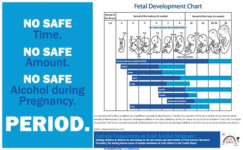 Fetal Development Chart Pdfsimpli