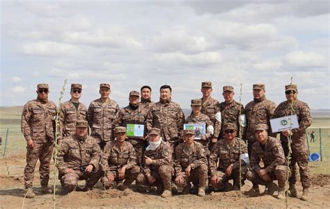 Дотоодын цэргийн штаб