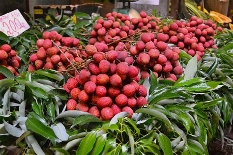 Lychees In Mauritius 2025 2026 Roveme