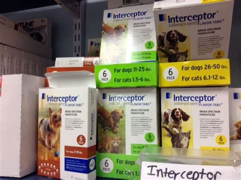 Cats And Pyrethroidpyrethrin Insecticides Ann Arbor Animal Hospital