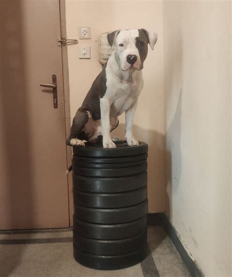 Tihomir Trifonov On Linkedin Ако нямате желание за тренировки проблемът може и да не е във вас