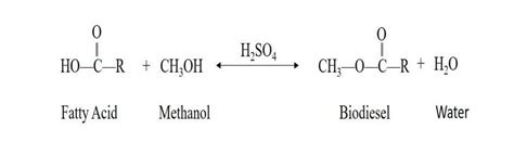 A Typical Acid Catalyst Esterification Reaction Of Extracted Oil