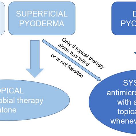 Pdf Antimicrobial Use Guidelines For Canine Pyoderma By The