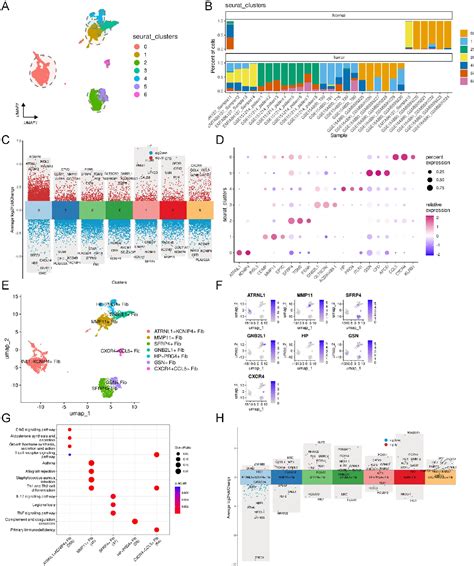 Figure 3 From Comprehensive Single Cell Analysis Reveals Heterogeneity Of Fibroblast