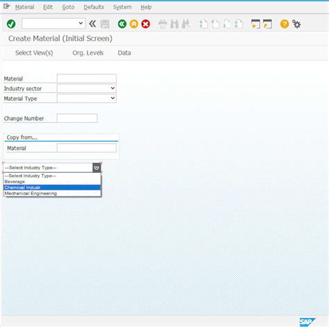 do sap gui customization by ashfaq ahmed7 fiverr