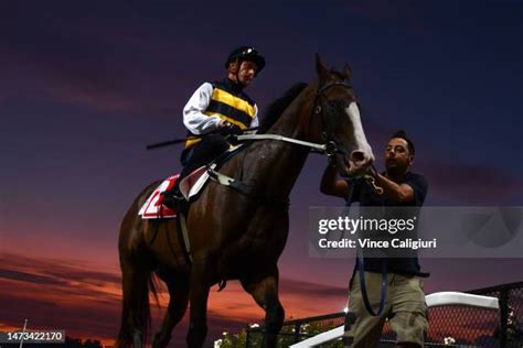 12200 Daniel Moor Photos And High Res Pictures Getty Images