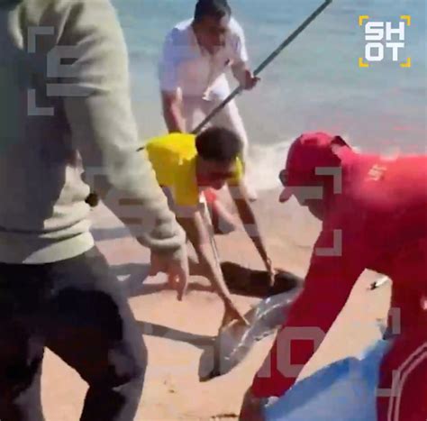 Tourist Hospitalised After Being Attacked By Huge Eel On Brit Holiday