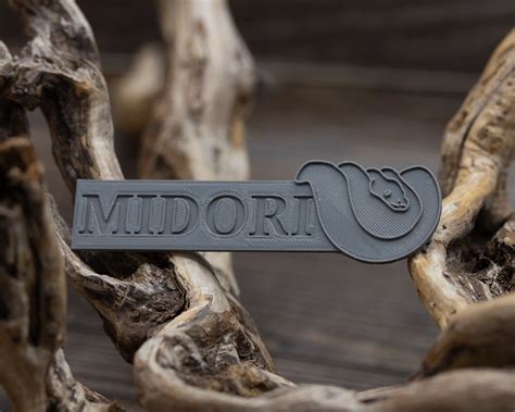 Green Tree Python Custom Name Plaque Vivarium Decor Etsy