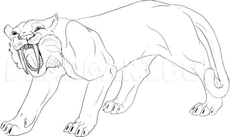 How To Draw A Saber Tooth Tiger Drawing Step By Step By Dawn Dragoart