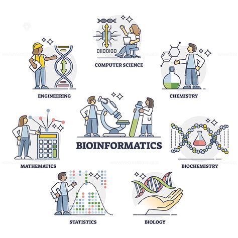 Bioinformatics Usage As Software For Biology Data Outline Collection Set Vectormine