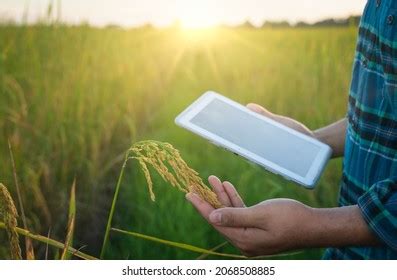 Farm Data Stock Photos Images Photography Shutterstock