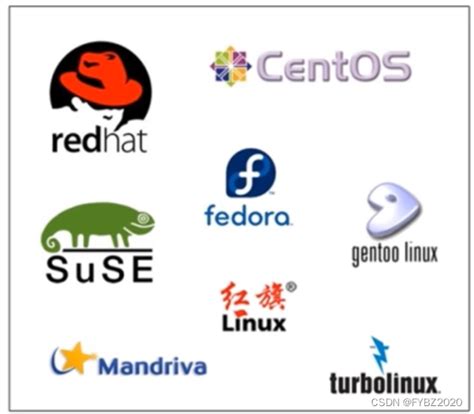 Linux学习手册linux手册 Csdn博客