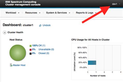 Enabling LDAP User Authentication With Integrated Infrastructure Deployment Of IBM Spectrum