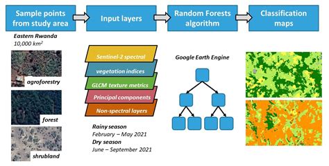 Supervised Classification Of Tree Cover Classes In The Complex Mosaic