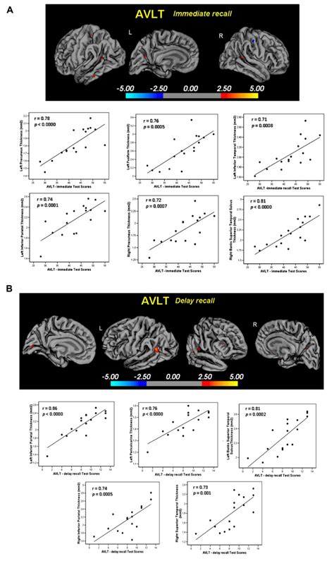 a regions with significant correlation between memory performance