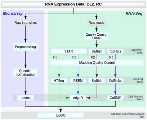 The Different Analysis Pipelines The Flowchart Describes The Different