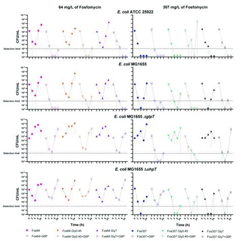 Fosfomycin Mic Mg L Results By Agar Dilution Without And With 7 Mg Ml Download Scientific