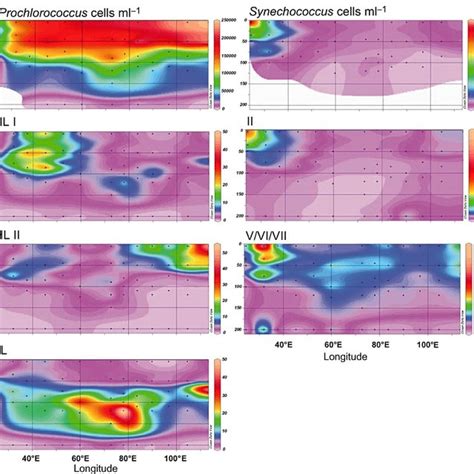 Global Distribution Of Synechococcus Clades And Prochlorococcus Download Scientific Diagram