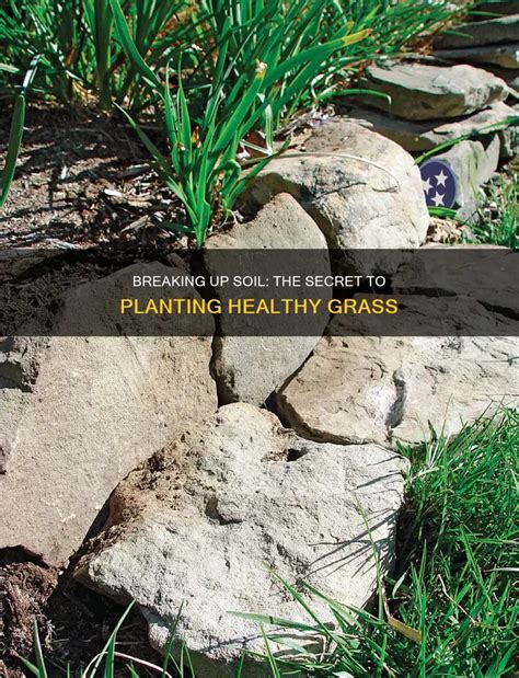 Breaking Up Soil The Secret To Planting Healthy Grass ShunCy