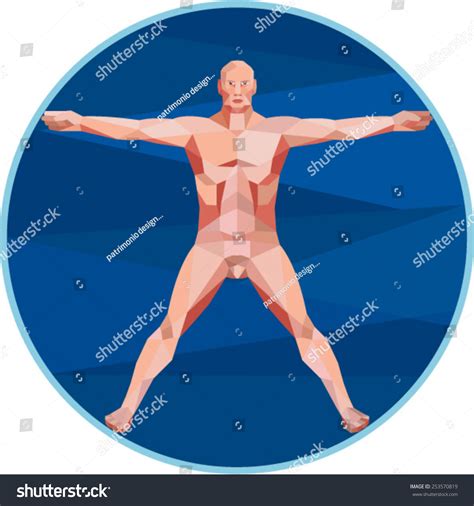 Spread Eagled Legs Over 42 Royalty Free Licensable Stock Vectors