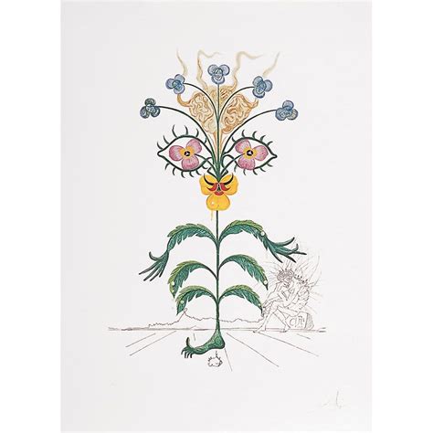 Сальвадор Дали роза (В статье много фото) - viewsnap.ru