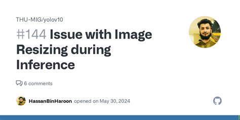 Issue With Image Resizing During Inference Issue THU MIG Yolov GitHub