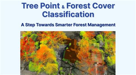 Tree Point And Forest Cover Classification A Step Towards Smarter