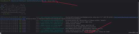 idea使用native image打包springboot项目 codebuug