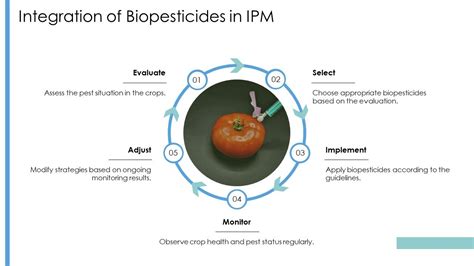 Classification Of Biopesticides Ppt Example Acp Ppt Template