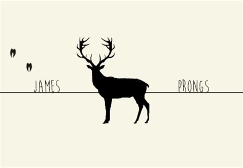 James Prongs Harry Potter Wallpaper Harry Potter Facts Harry