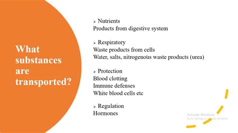 Double Circulatory System I Systemic And Pulmonary Circulation I Igcse