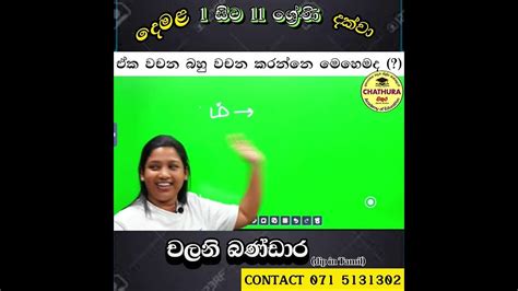 ඒක වචන බහු වචන කරමු Youtube