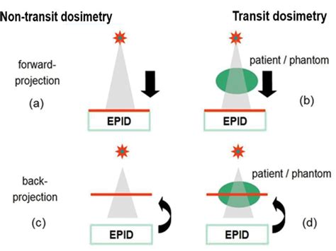 Use Of Electronic Portal Imaging Devices For Pre Treatment And In Vivo