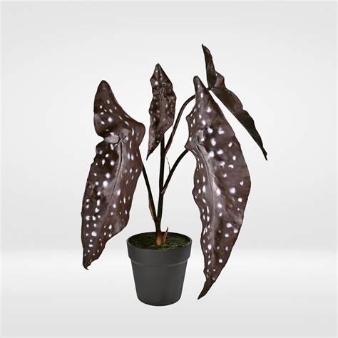 Artificial Black Spotted Leaf Begonia Plant 24″h Online Vert Nook