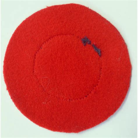Ww1 Us Army Air Service Cockade Badgepatch