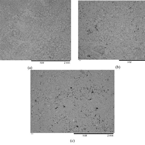 Optical Microscope Photomicrograph Of The Gray Cast Iron Download