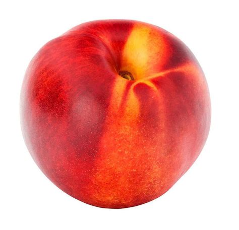 Farzana Nectarine