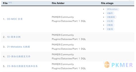 Pkmerdataview 提供的四种查询类型