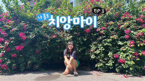 일단은 혼자 떠난 치앙마이 3🌿 야시장에 진심인 치앙마이 선데이마켓 Por 타패 게이트 와로롯시장 올드타운 Youtube