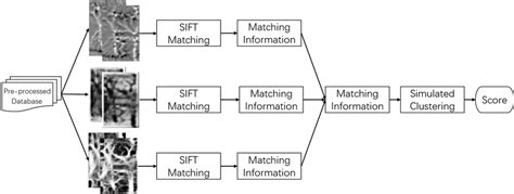 The Flowchart Of The Proposed Framework Of Finger Vein Recognition Download Scientific Diagram