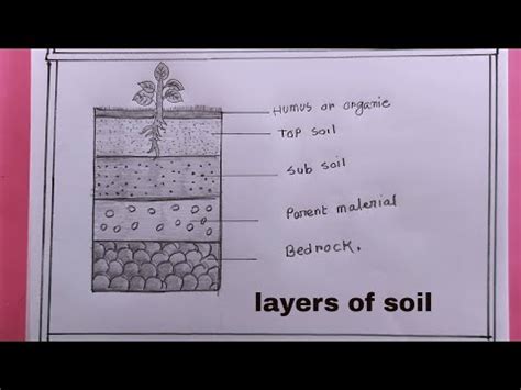 How To Draw Layers Of Soil Easy Layers Of Soil Drawing