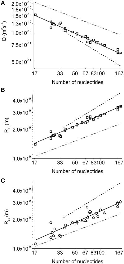 Translational Diffusion Coefficient Hydrodynamic Radius And Radius Of Download Scientific