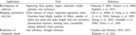 Double Haploid Technology In Wheat Breeding Download Scientific Diagram