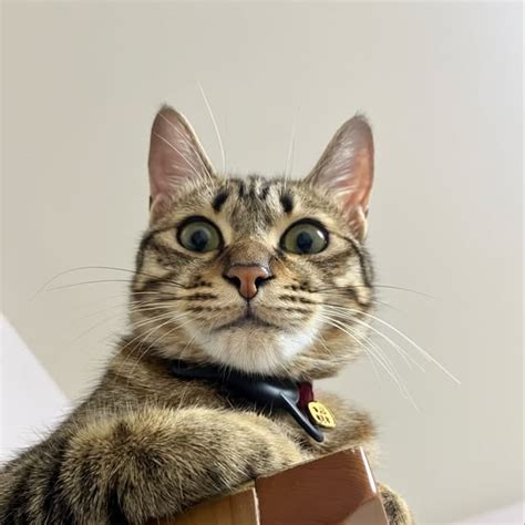 Yumi Yumilife0218 • Threads Say More Yumi Yumilife0218 • Threads Say More