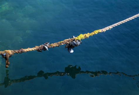 We Still Dont Know Enough About The Dangers Of Microplastics